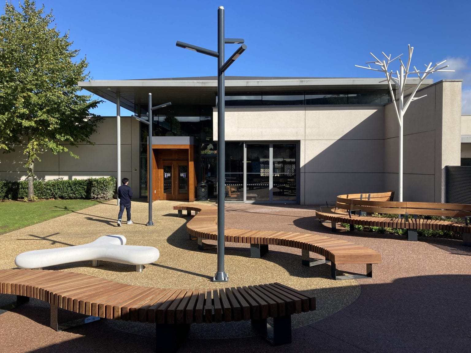 Queen's University Belfast: Queen’s Elms Treehouse, Elms BT9 ...